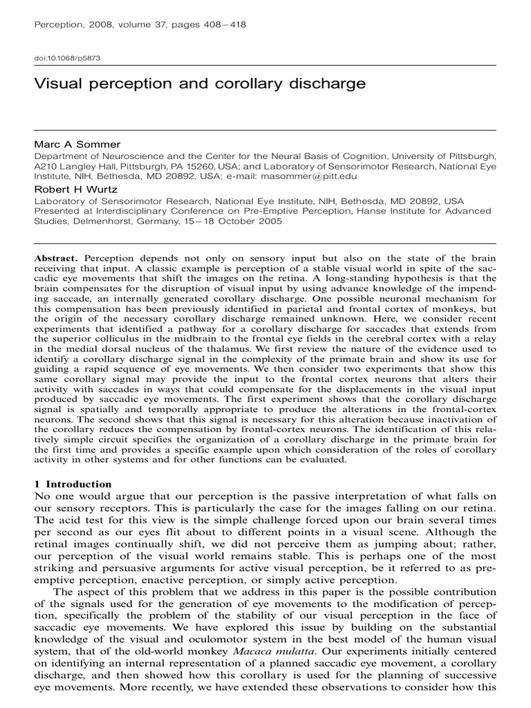 Visual Perception and Corollary Discharge | PDF | Perception | Brain