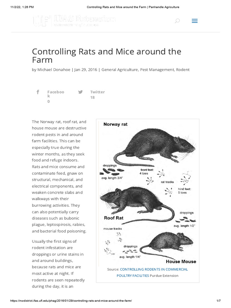 Controlling Rats and Mice Around The Farm - Panhandle Agriculture | PDF ...