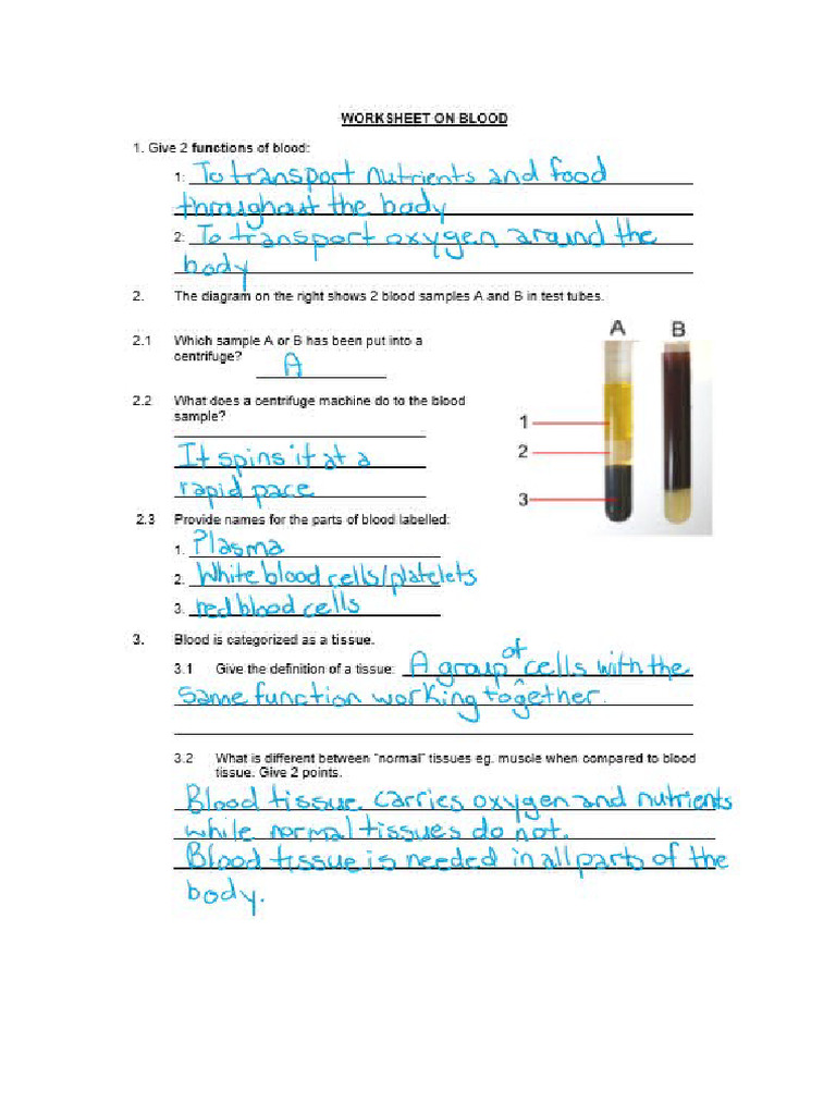 Bio Blood Document | PDF