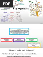6.2 MEGA Workshop | PDF | Phylogenetic Tree | Molecular Phylogenetics