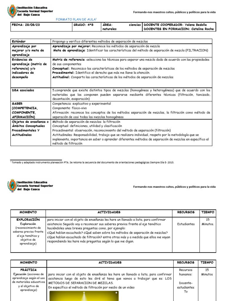 Plan de Aula de CN (1) | PDF | Enseñando | Aprendizaje