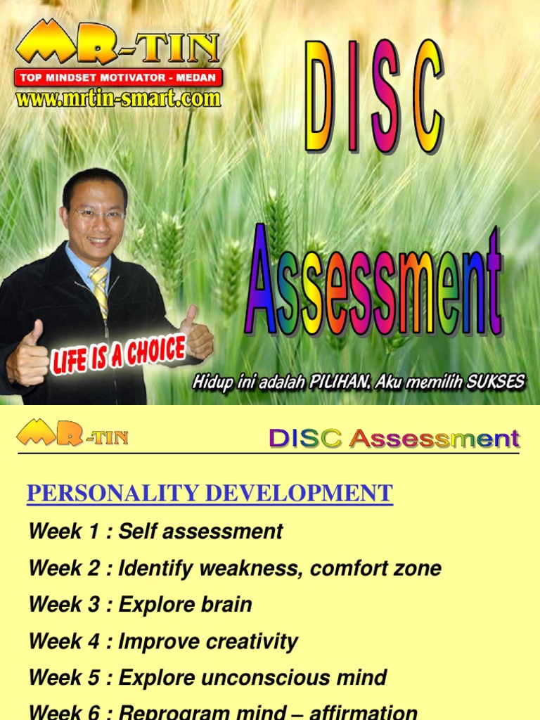 DISC Motivation-Standard Copy To Students | PDF