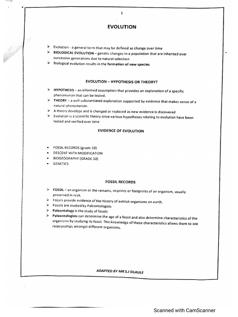 Evolution Notes | PDF