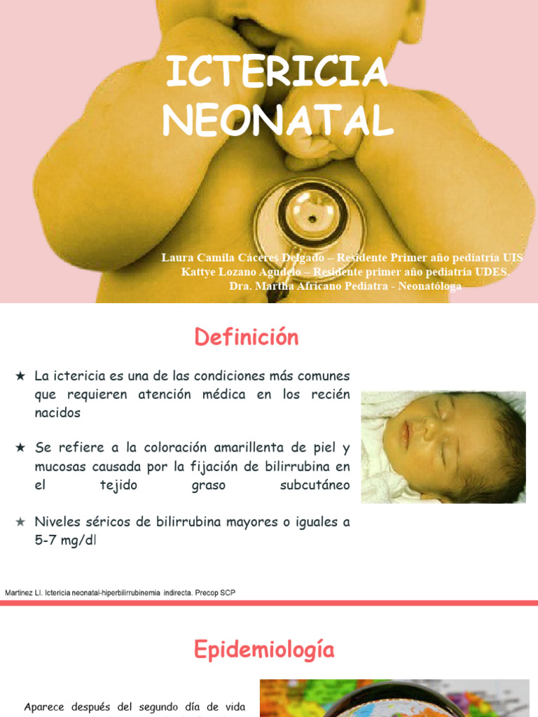 Ictericia Neonatal 2024 | PDF | Medicina CLINICA | Especialidades Medicas