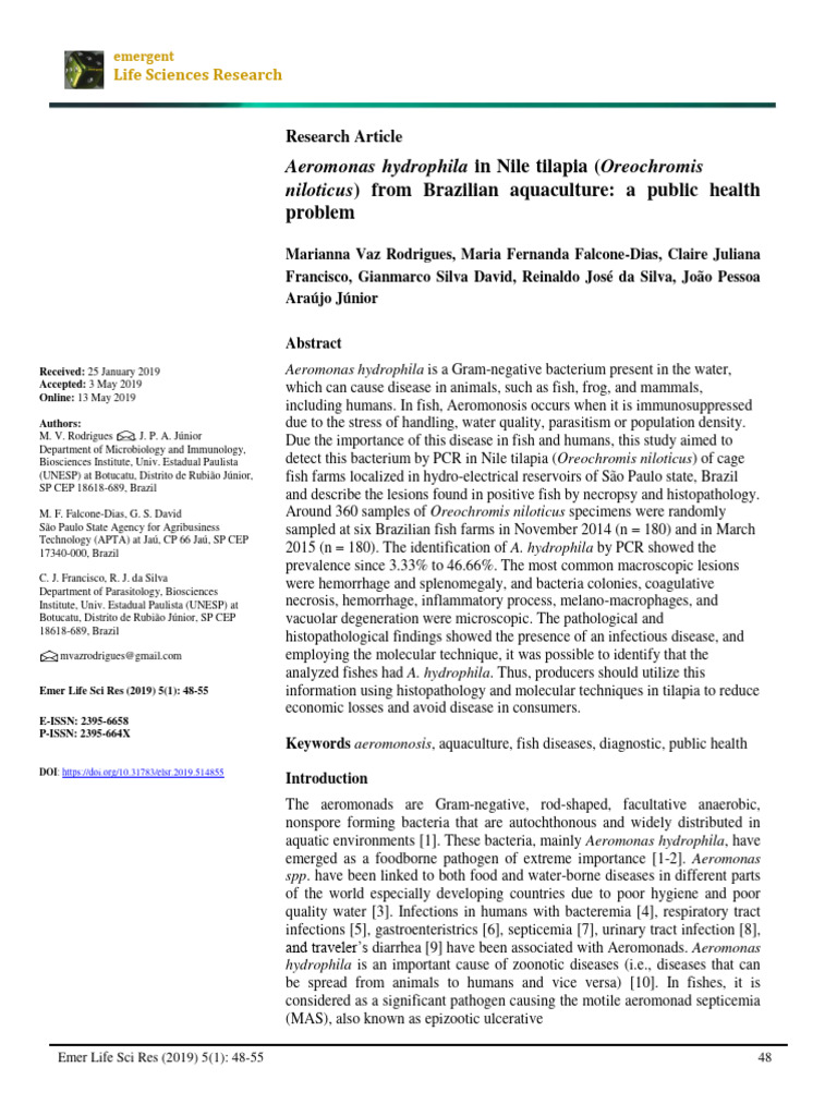 Aeromonas Hydrophila in Nile Tilapia (Oreochromis Niloticus) From ...
