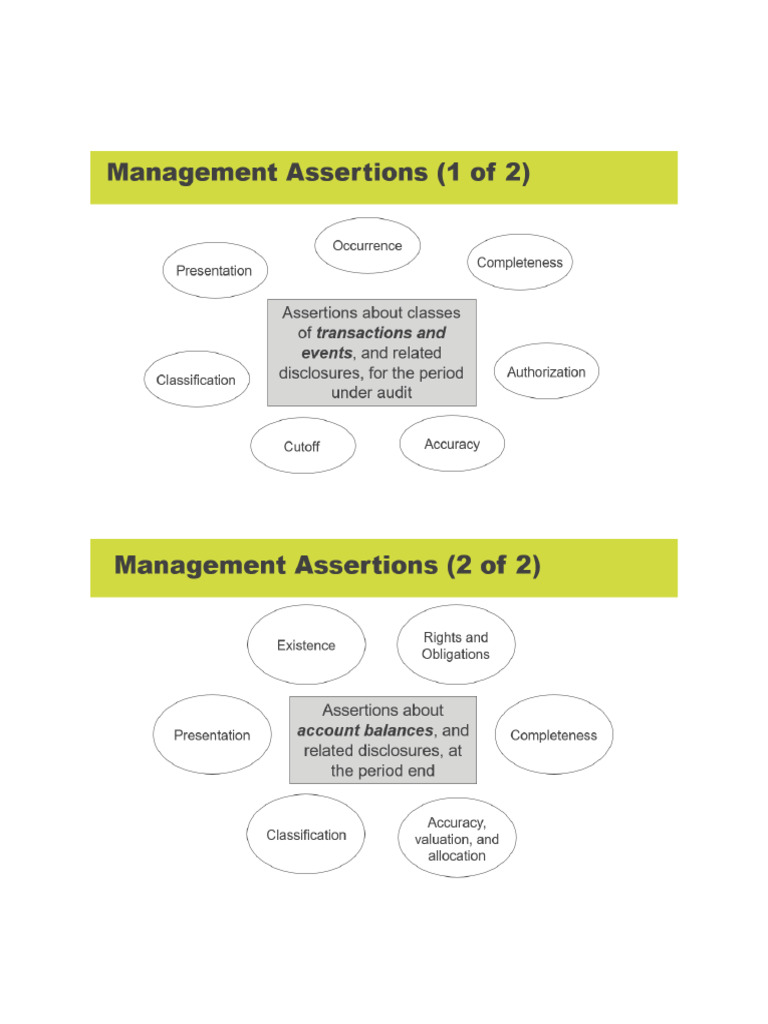 Management Assertions-Audit | PDF