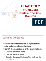Bone Markings Guide | PDF