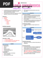 Vulvoplastia | PDF | Vagina | Especialidades Medicas