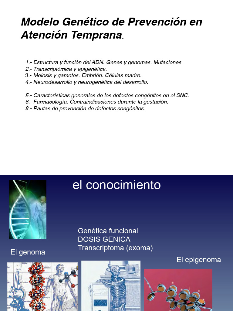 Modelo Genético de Prevención en Atención Temprana | PDF | Codigo ...