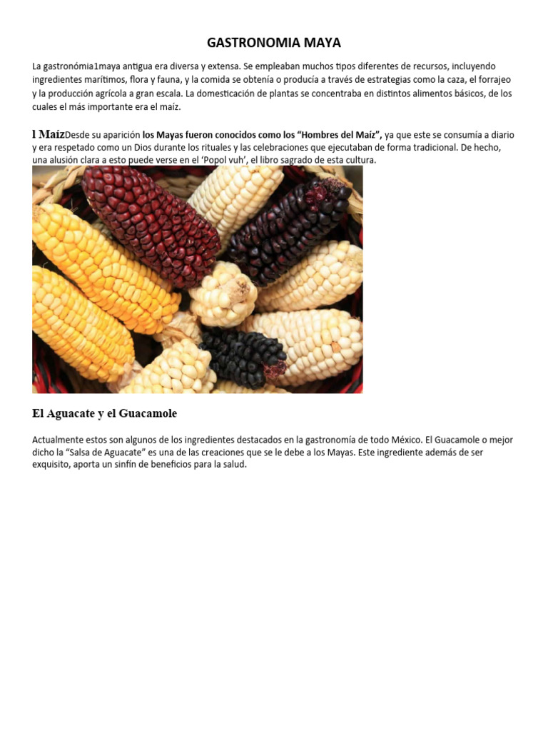 Gastronomia Maya | PDF | Mariscos | Cocina española