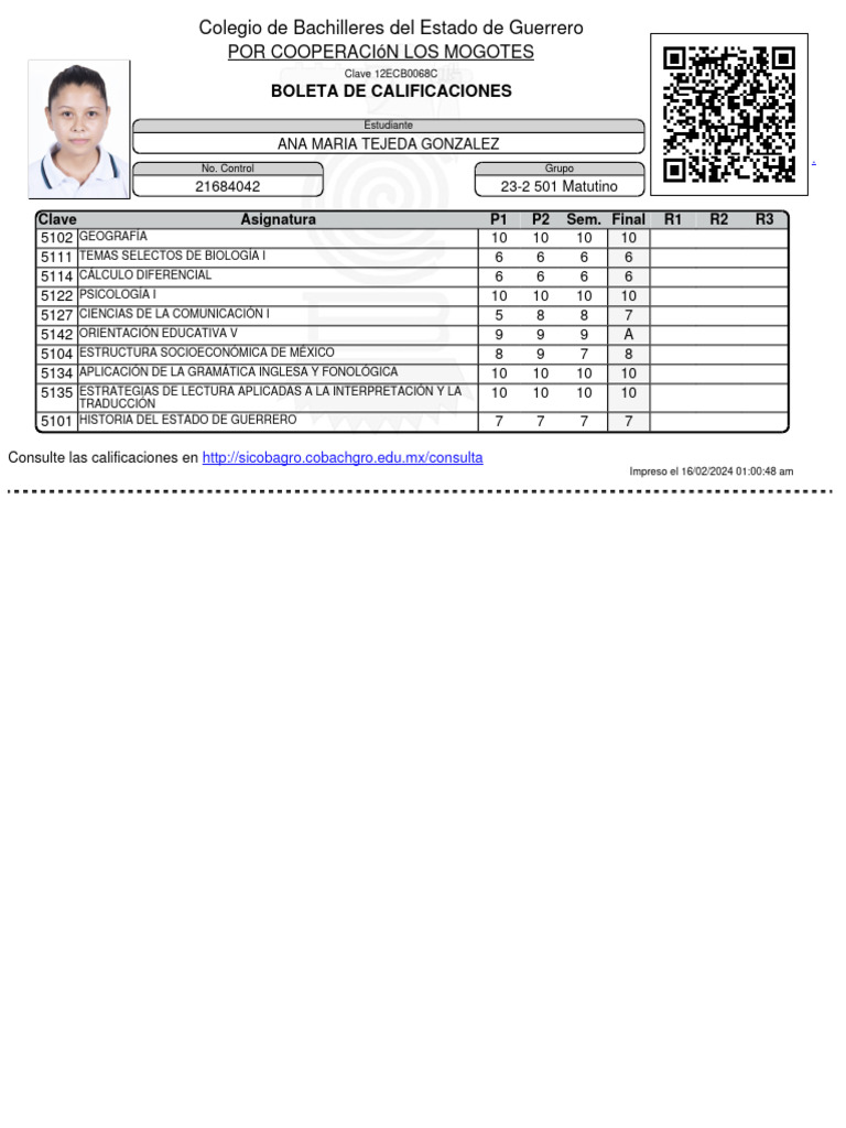 Boletas 20240216 00 | PDF