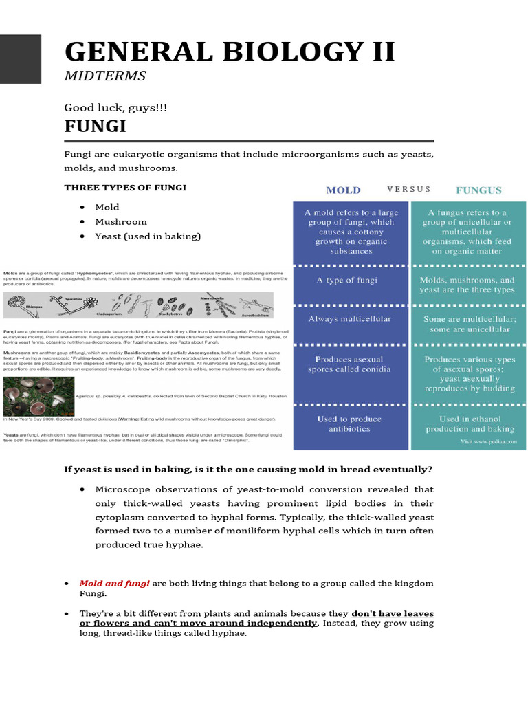 GEN BIO II - Midterms | PDF | Artery | Blood