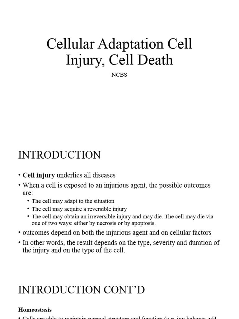 2.lecture 2. Cellular Adaptations Injury and Cell Death | PDF | Necrosis | Senescence