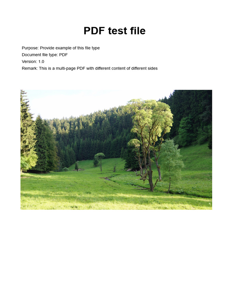 Example Multipage | PDF | John Doe