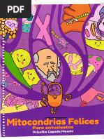 PRUEBA SIRI Y MATEO 3ro Básico 2024 | PDF