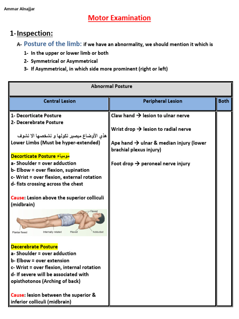 Motor Examination | PDF