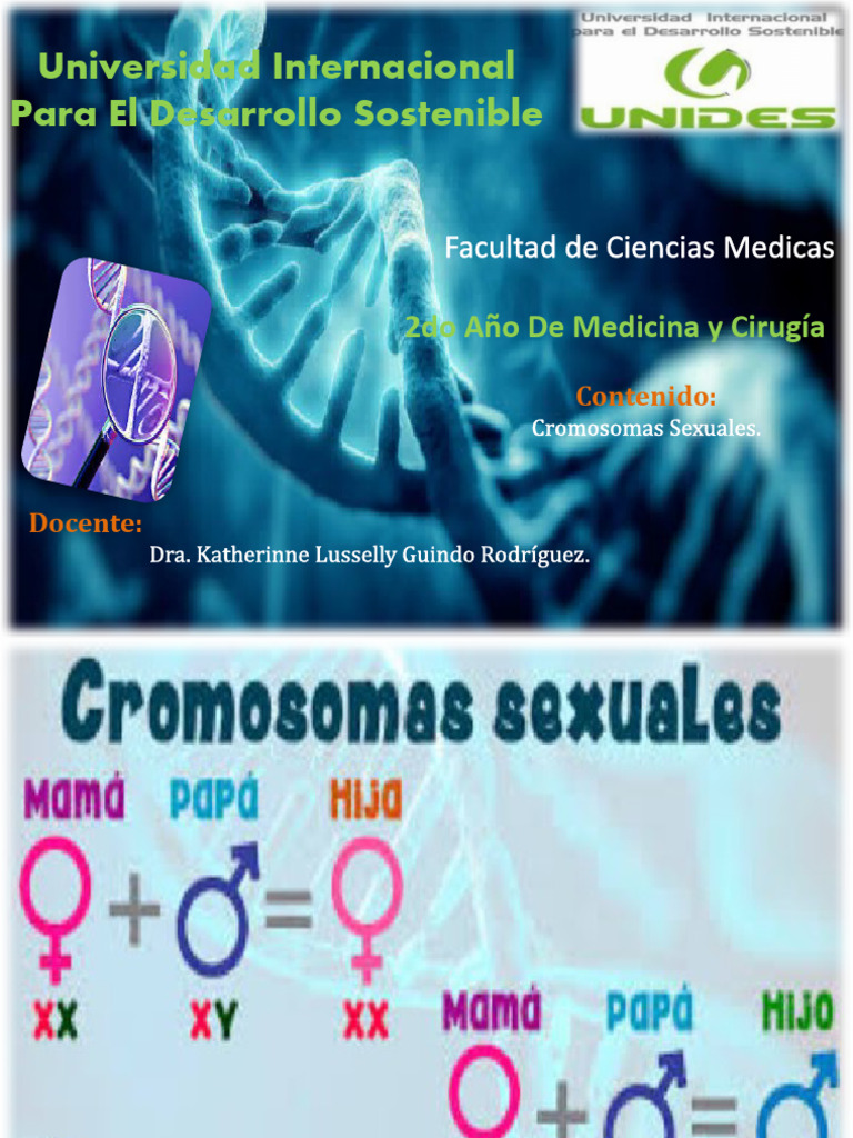 Cromosomas Sexuales. | Descargar gratis PDF | Cromosoma | Histona