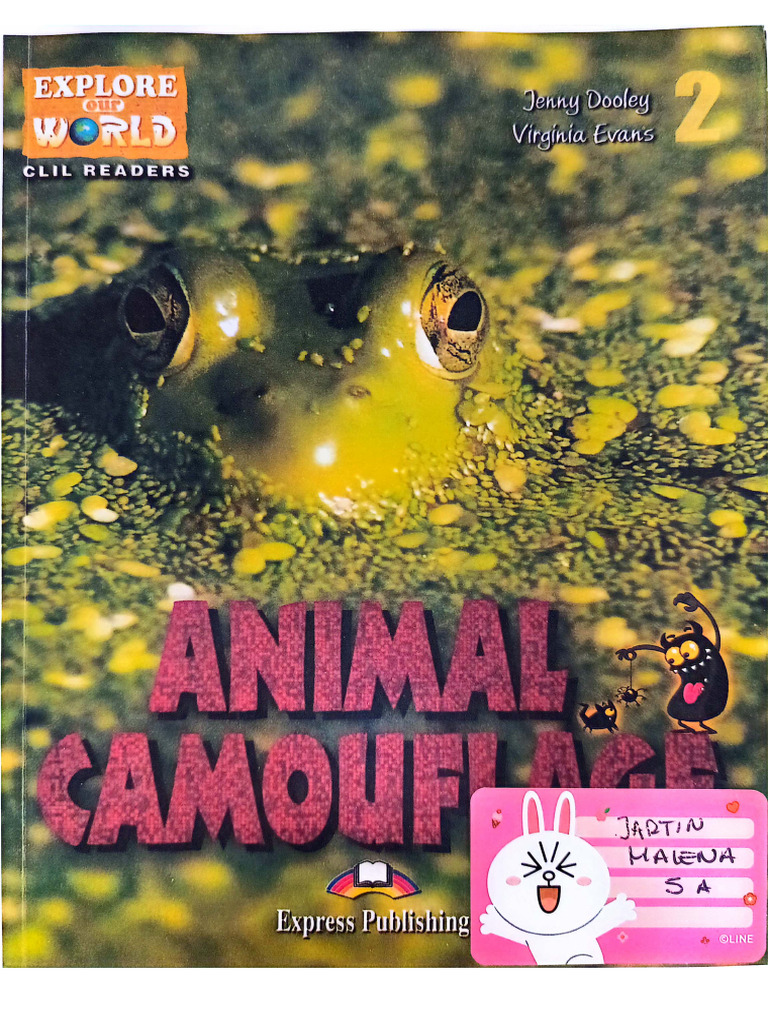 Animal Camouflage | PDF