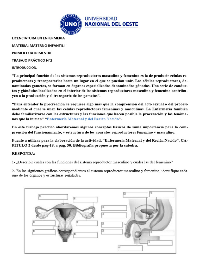 TRAB - PRACT N°2 Materno 1 Sistema Reproductor. | PDF | Sistema reproductivo | Especialidades ...
