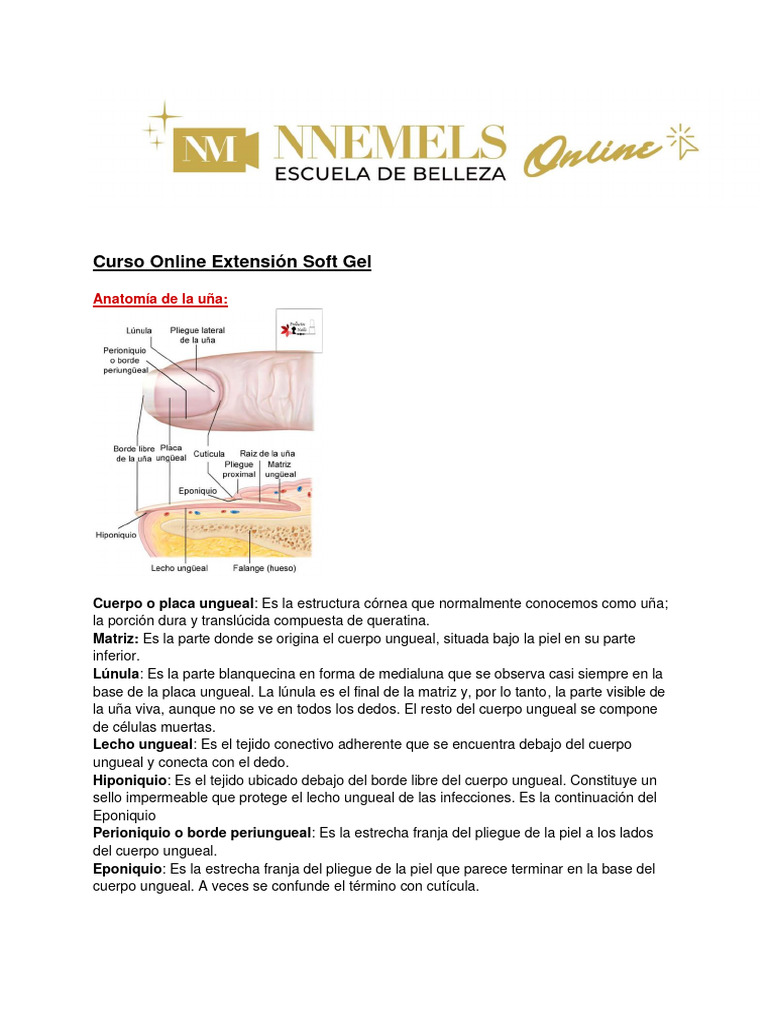 Teor - A Extensi - N Soft Gel | PDF | Hogar, jardinería y bricolaje | Arte
