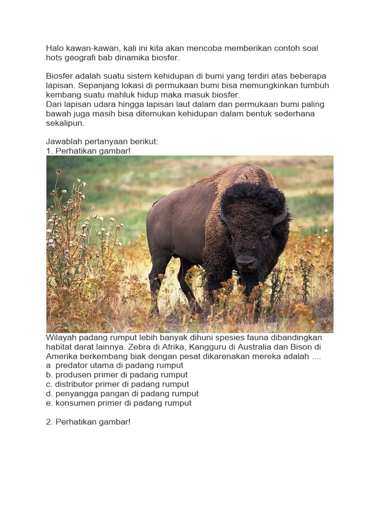 Soal Hots Biosfer | PDF