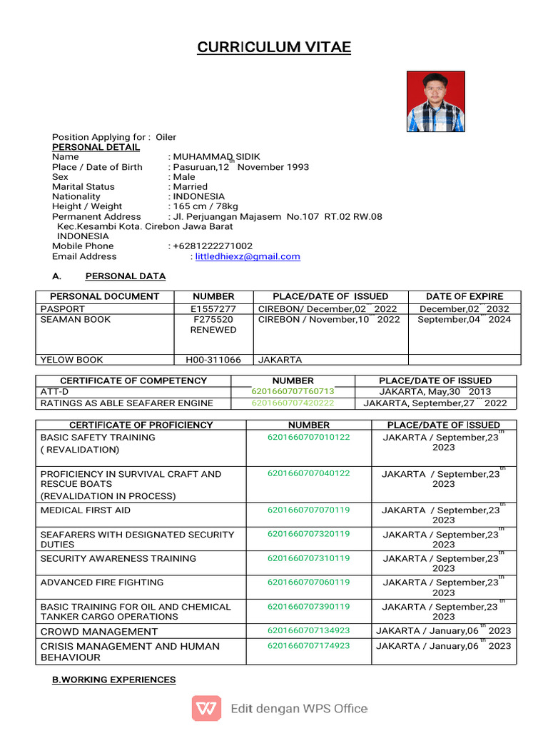 Curriculum Vitae Update 2024 | PDF