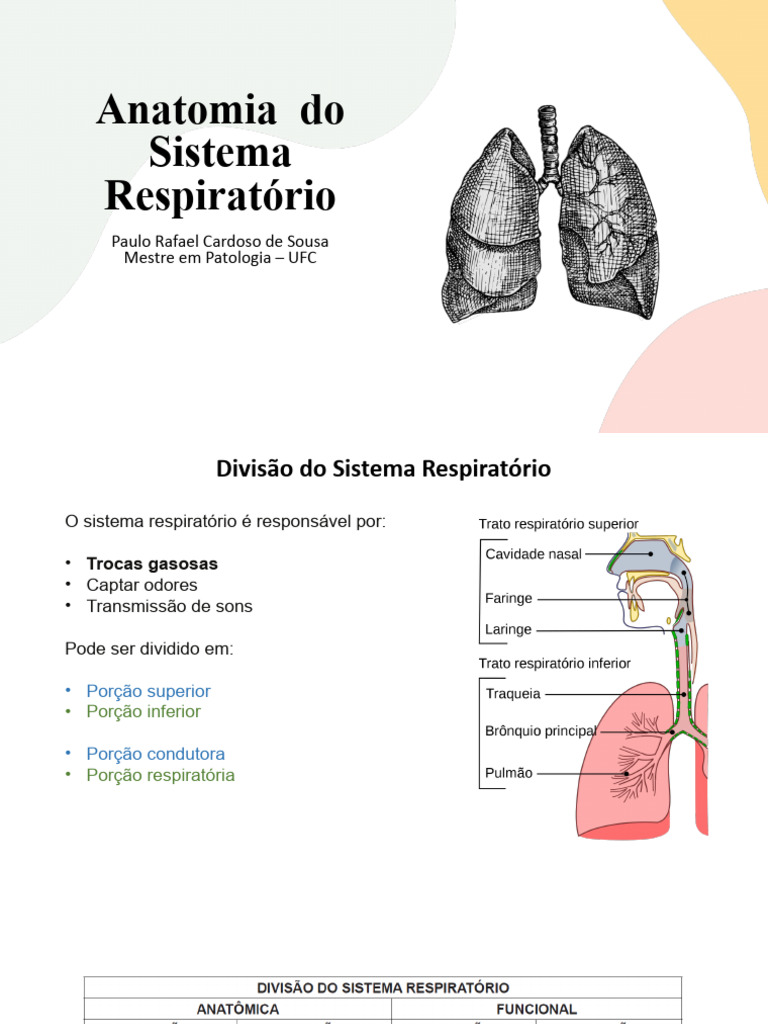 Aula 05 - Anatomia do Sistema Respiratório | PDF
