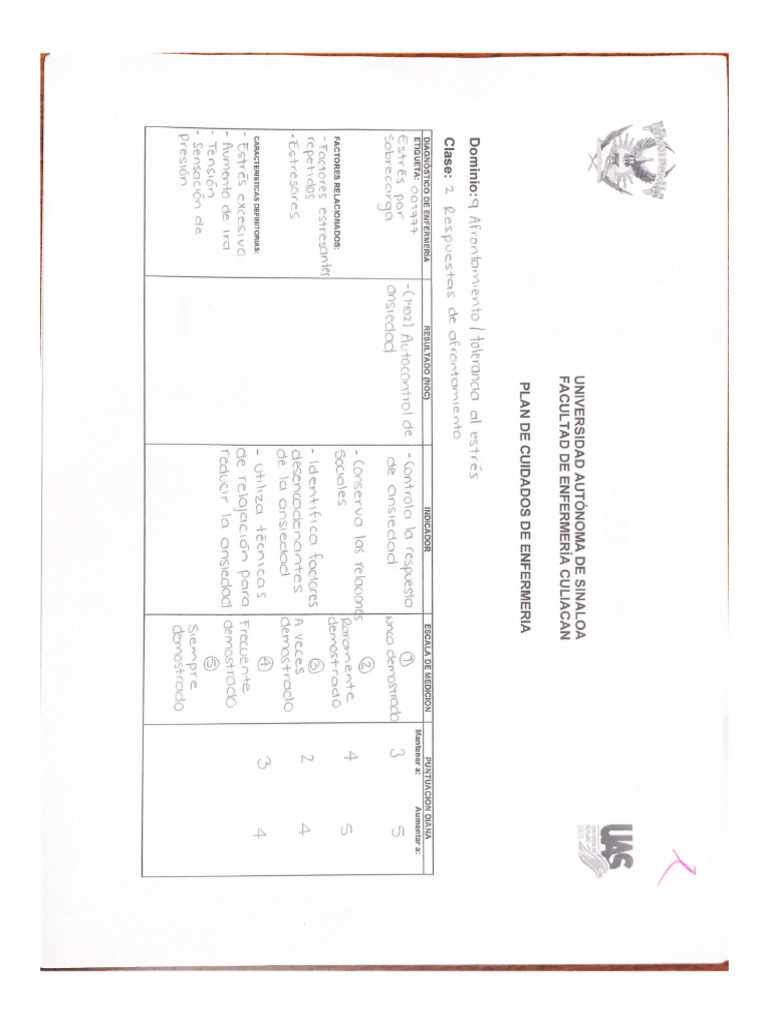 Pae de Estres DVBM | PDF