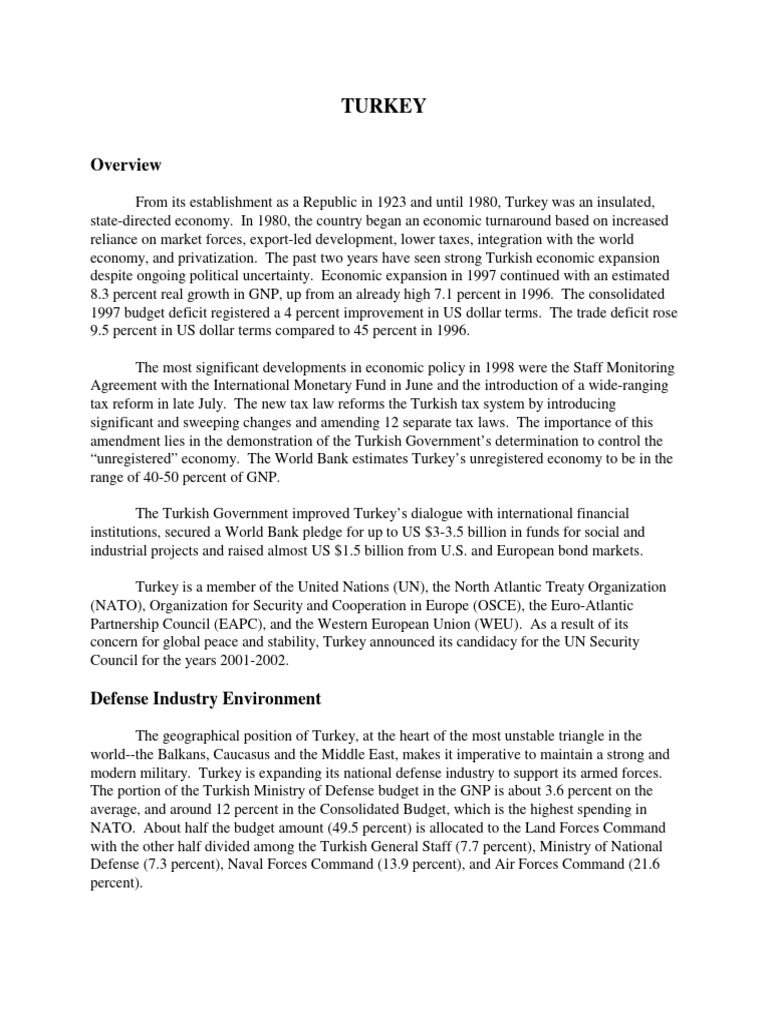 Overview - Turkey | PDF | Turkey | Procurement