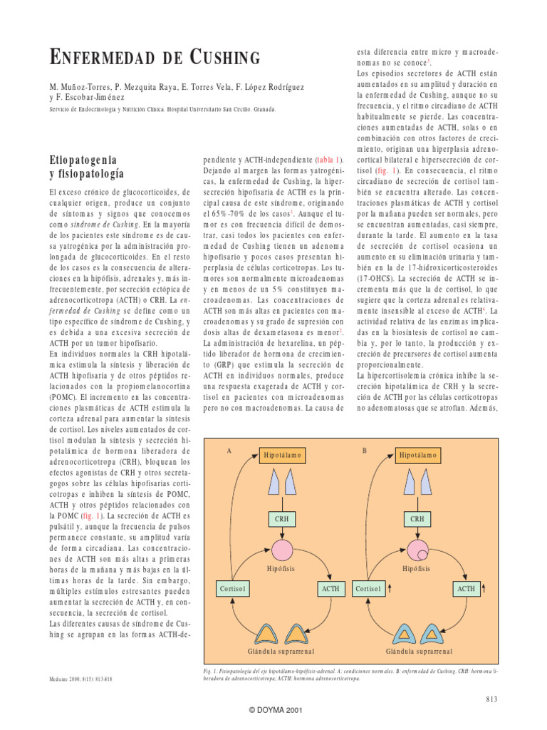 Enfermedad de Cushing | PDF