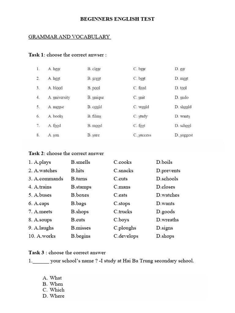 Beginner's English Grammar Test | PDF | Language Arts & Discipline