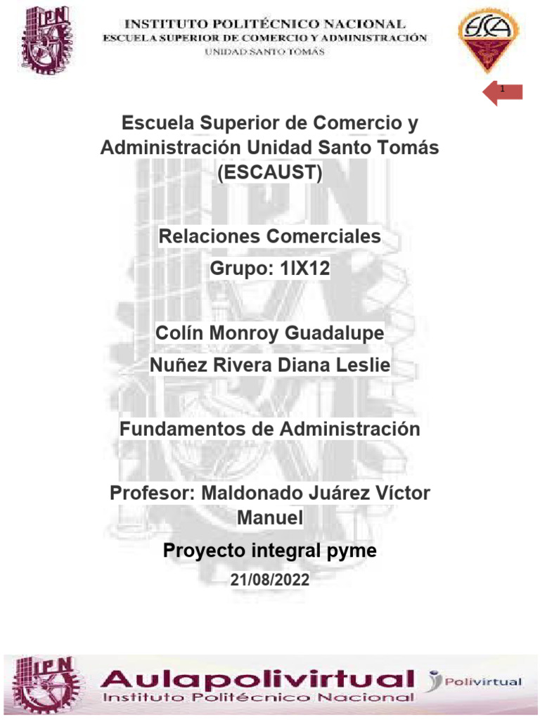 ACTIVIDAD1 - Proyecto Integral Pyme | PDF | Negocios