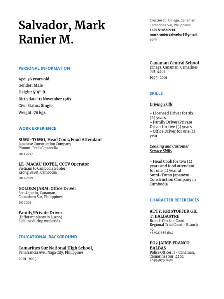 Mark Salvador's Professional Resume | PDF