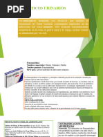 Prospecto NIFURYL | PDF | Infección del tracto urinario ...