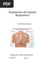 Murmullo Vesicular en Auscultación Pulmonar | PDF | Medicina CLINICA
