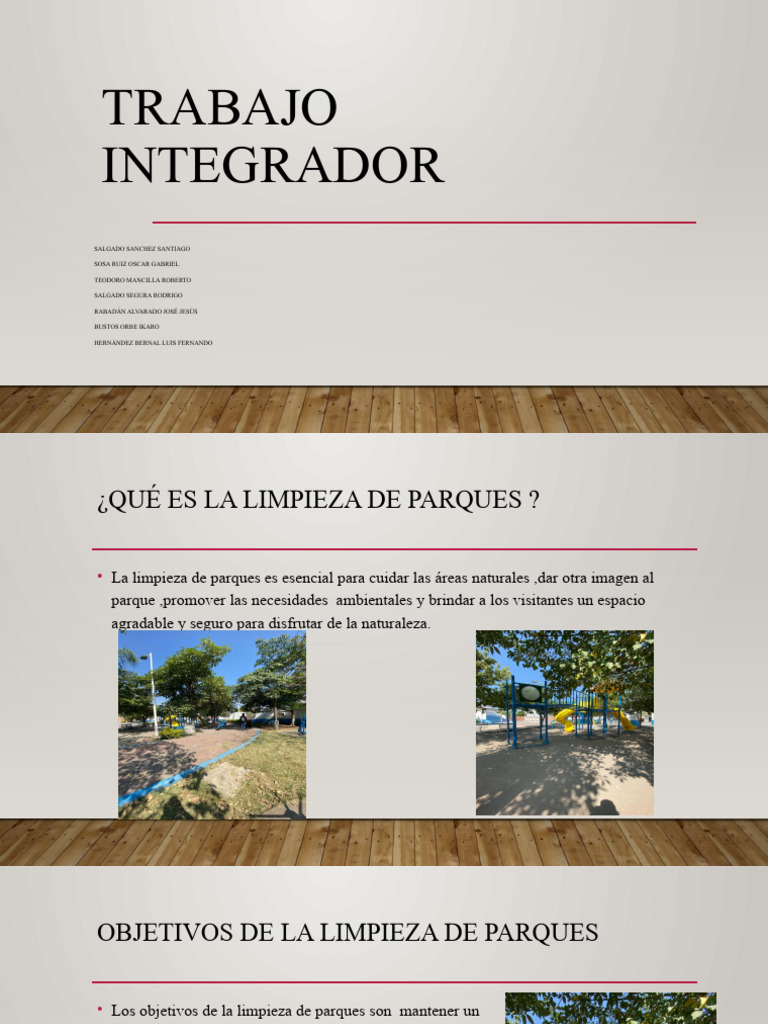 Trabajo Integrador | PDF