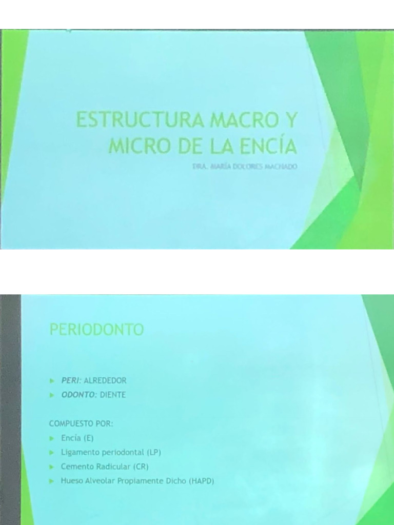 Anatomia Microscopica Del Periodonto | PDF