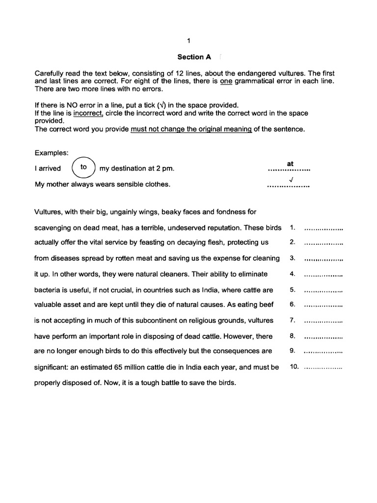 Secondary 2 Express English Paper 1 & 2 | PDF | Caffeine | Sucrose