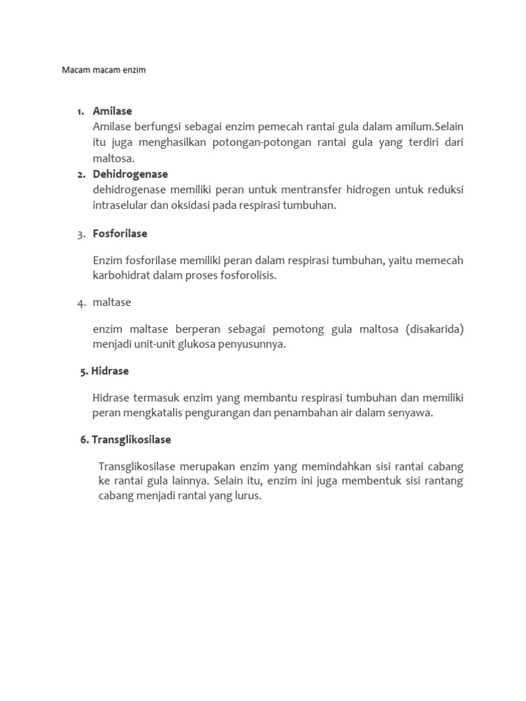 Macam Macam Enzim | PDF