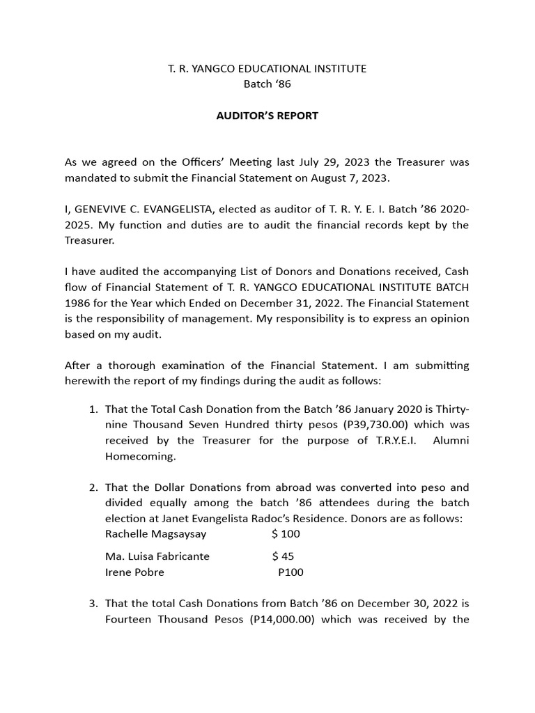 Official Auditors Report | PDF | Audit | Financial Audit