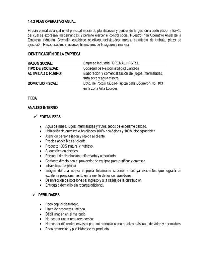 Plan Operativo Anual Cremalin Ofi | PDF | Business | Marketing