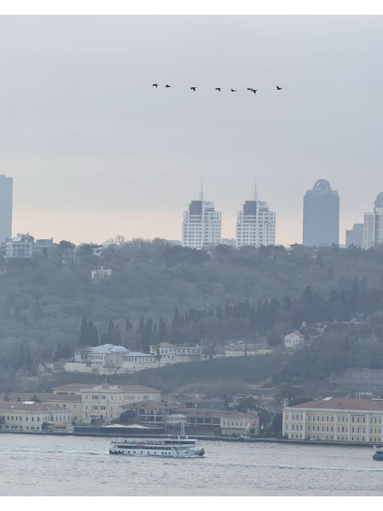 Birds View | PDF
