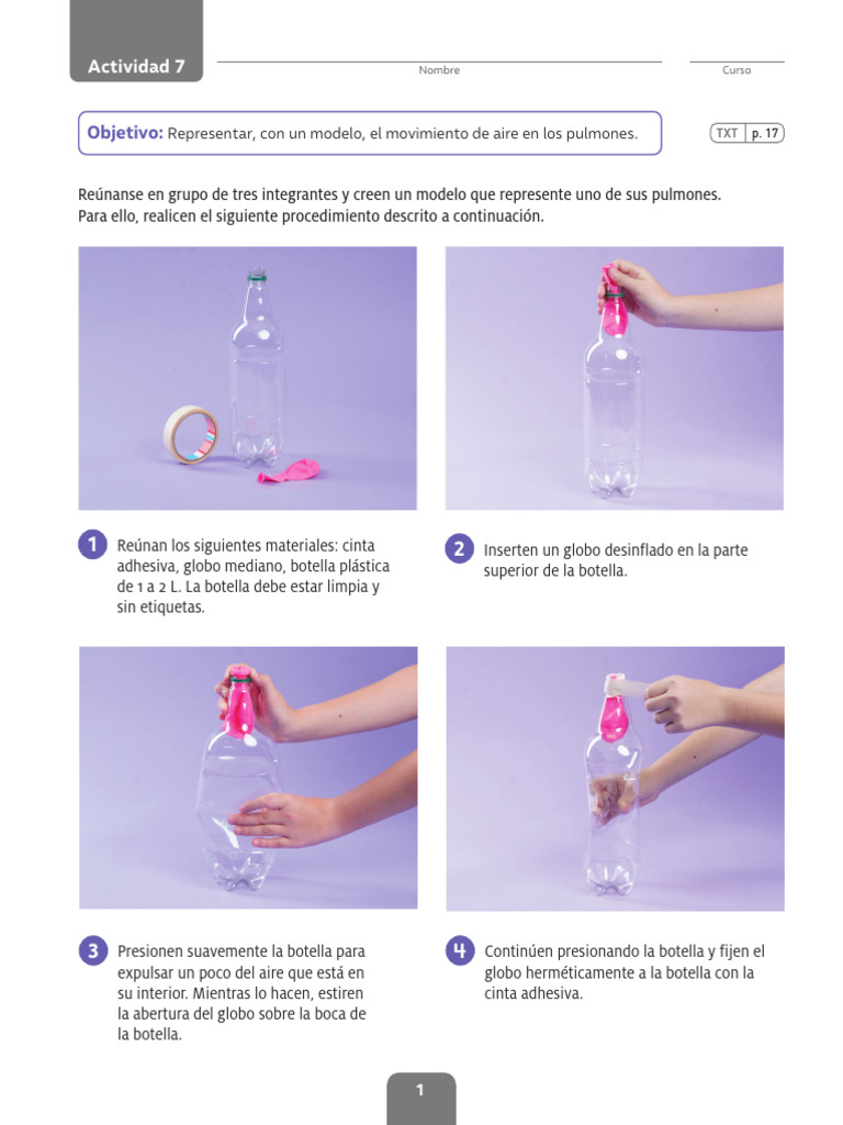 Bda U1 Act 07 | PDF | Sistema respiratorio