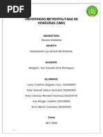Ley Ambiental de Nicaragua | PDF | Entorno natural | Gases de efecto ...