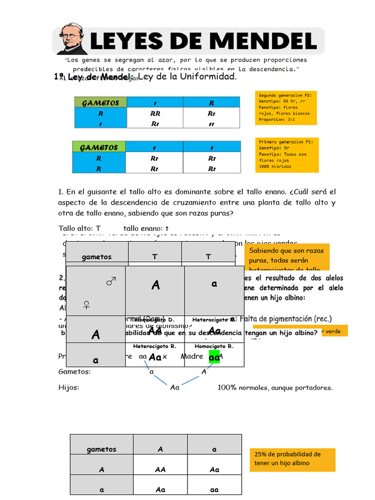 Leyes de Mendel | PDF