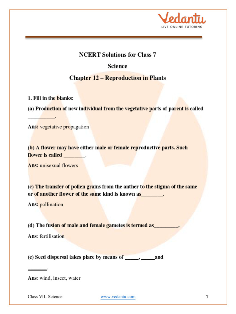 Ncert Solutions Class 7 Science Chapter 12 | PDF