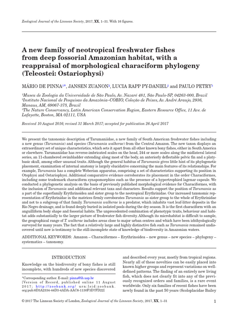 de Pinna, M. A New Family of Neotropical Freshwater Fishes From Deep ...