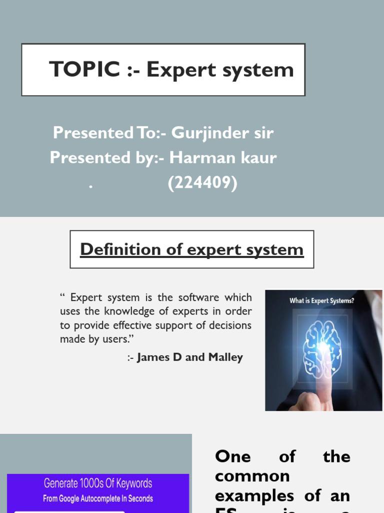 Expert System | PDF