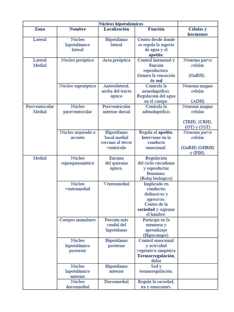 Funciones de los Núcleos Hipotalámicos | PDF | Hipotálamo | Anatomía humana