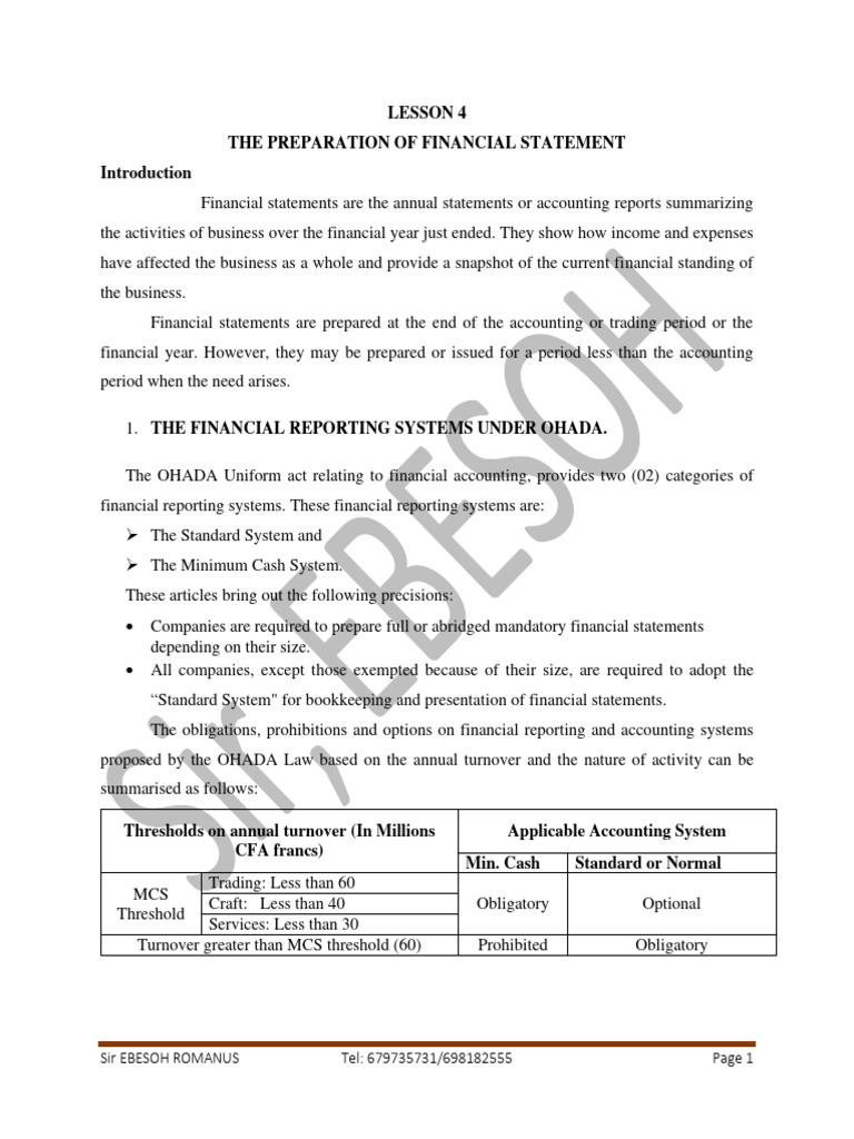 Preparation of financial Statement According to the OHADA system | PDF